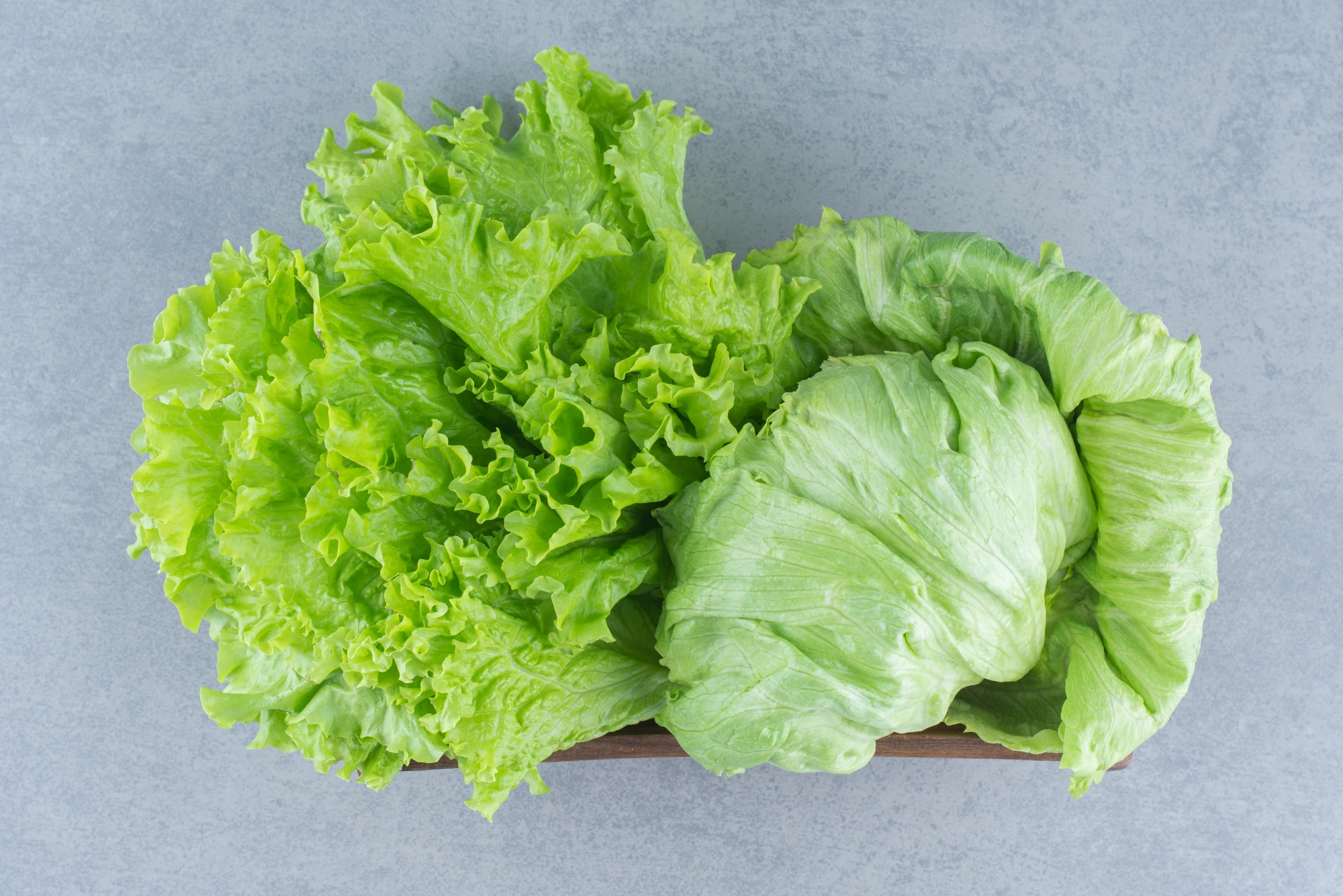 6 Jenis Selada Terbaik untuk Salad Segar, Enak, dan Anti Boring ...